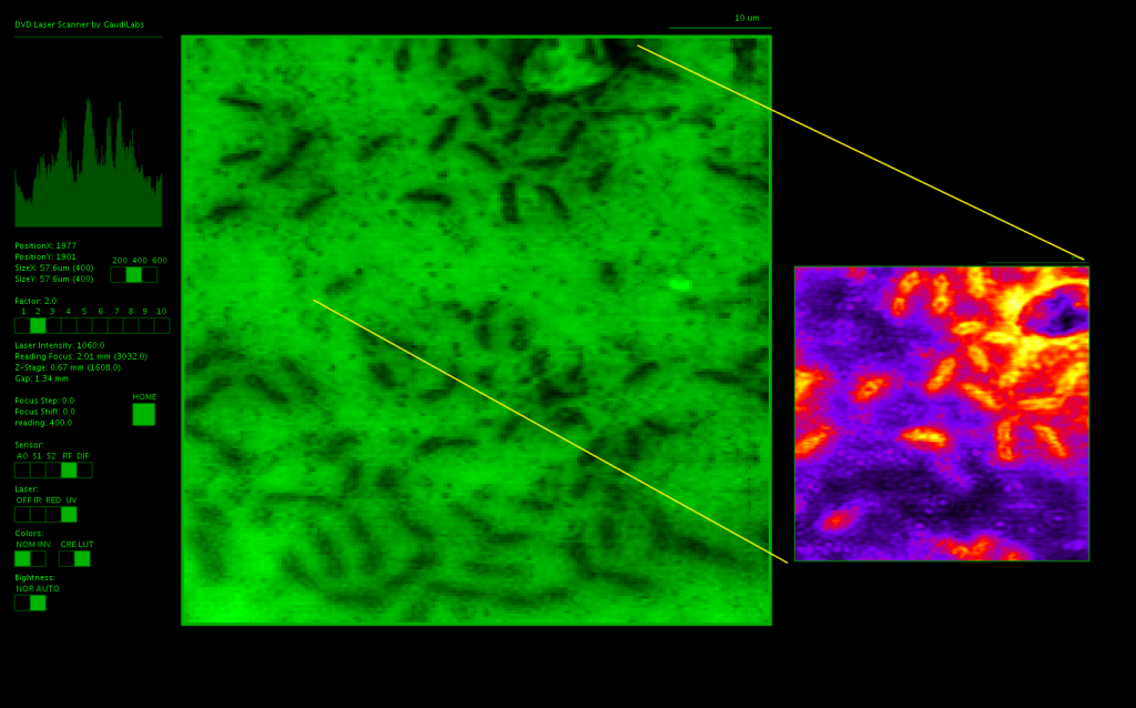 Welcome to » DVD Laser Scanner Microscope